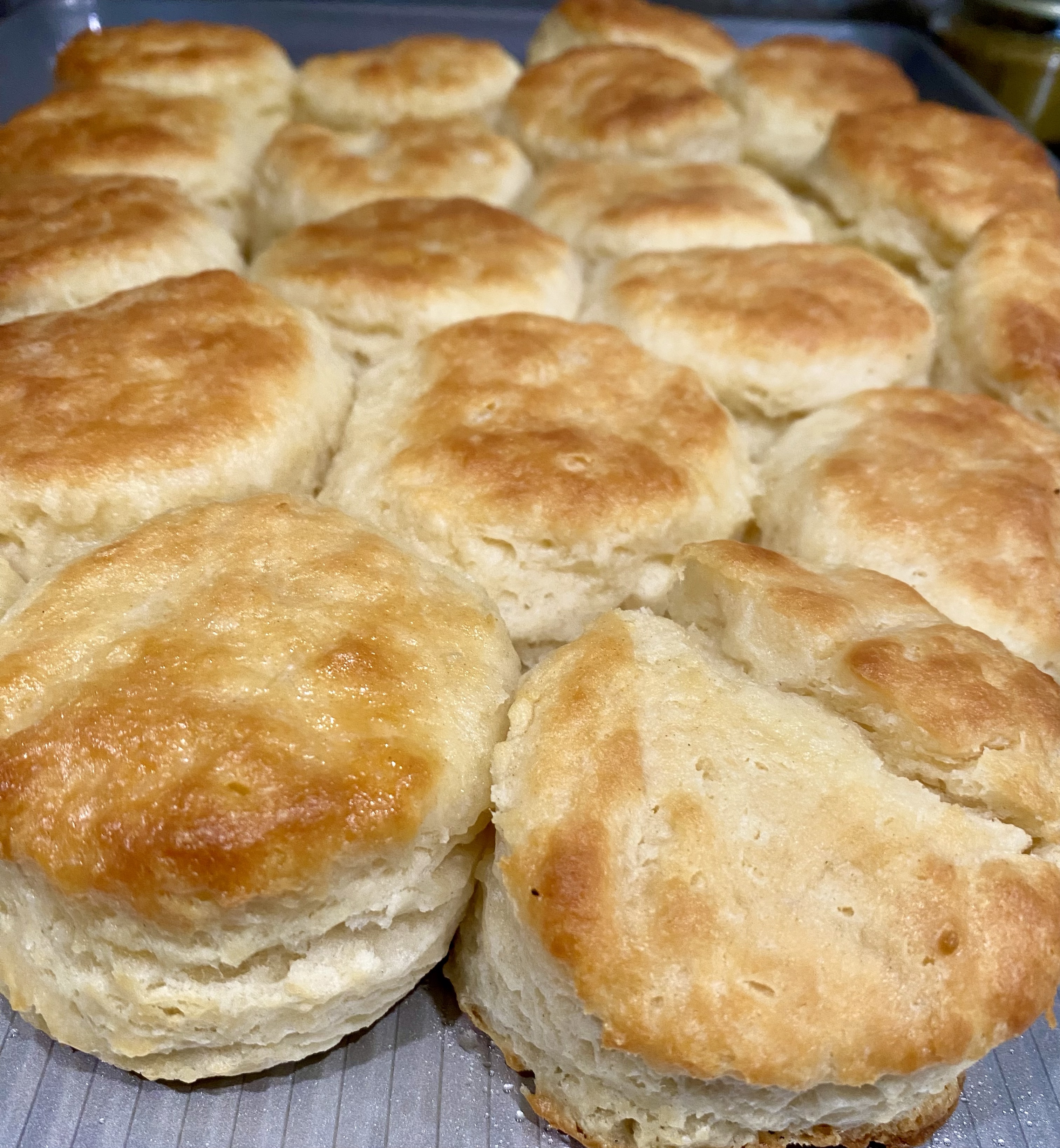 3 Ingredient Buttermilk Biscuits | TheCompanySheKeeps